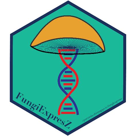 fungiexpresz 2020 shiny contest submission contests posit community