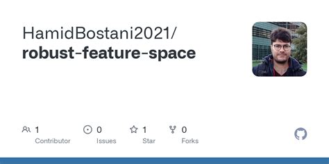 Github Hamidbostani2021robust Feature Space