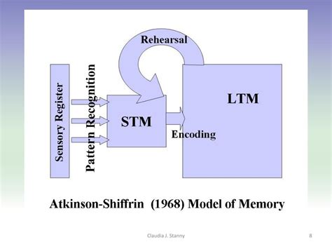 PPT - Working Memory PowerPoint Presentation, free download - ID:4628079