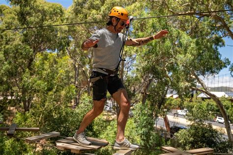 TreeClimb Salisbury Community Consultation CLOSED City Of Salisbury