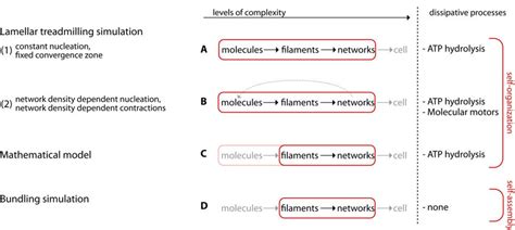 1 comparison of the hierarchical reduction implemented in the different
