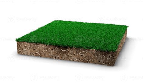 Square Of Green Grass Field Over White Background Green Grass And Rock