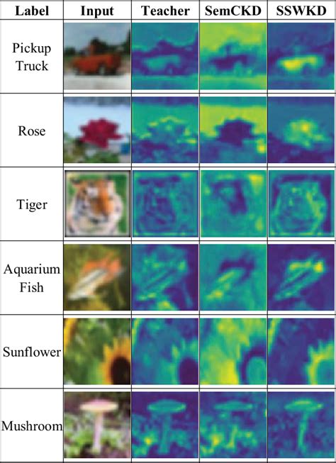 Figure 3 From Semantic Stage Wise Learning For Knowledge Distillation Semantic Scholar