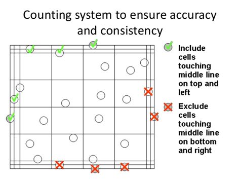 Yeast Cell Counting Viability Staining