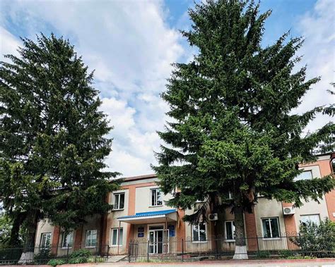 Небезпечні розваги Нещодавно стався ще один трагічний випадок хлопець виліз між вагонами