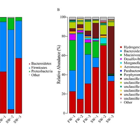 A Microbial Community Bar Plot On The Phylum Level Relative Download Scientific Diagram