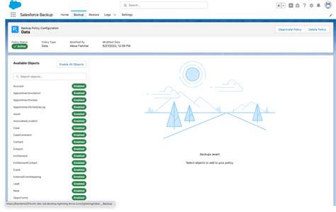 Implementing Salesforce Backup