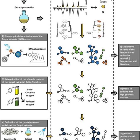 feature based molecular network mass spectra acquired in positive