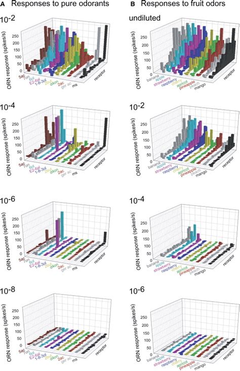 Coding Of Odors By A Receptor Repertoire Cell