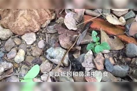 男子在野外发现了一把银铲子，近距离观察后，只感后背发凉！铲子后背男子