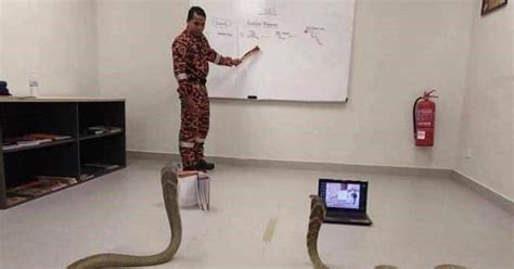 Data Engineering Python In Data Engineering