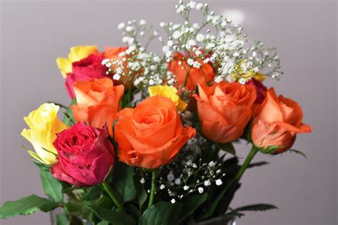 Dsc 7806 Paul Judge Flickr