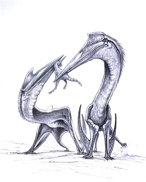 Quetzalcoatlus Northropi By Paleopastori On Deviantart