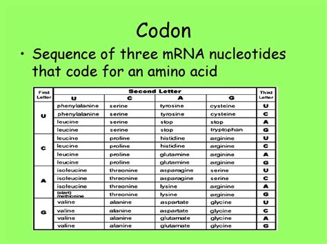 Biology Eoc Highlight Review Ppt Download
