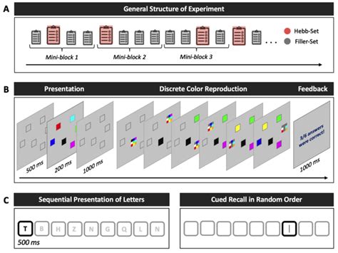 Overview Of The Experimental Design A General Structure Of The Hebb Download Scientific