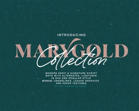 TẢi VỀ 10 Font Chữ Calligraphy đẹp Mê MiỄn PhÍ