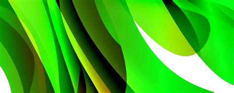 Curve Vector Images Over 980000