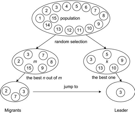 Somat3a Organization Process Scheme Figure Taken From Diep 2019