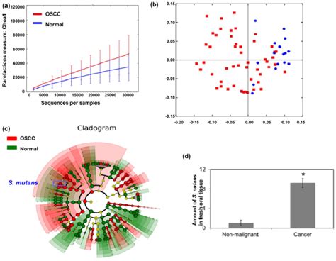 Streptococcus Mutans Is Enriched In Oral Squamous Cell Carcinoma Download Scientific Diagram
