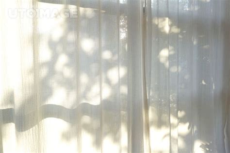 커튼과 햇살 그리고 그림자 Siestajj