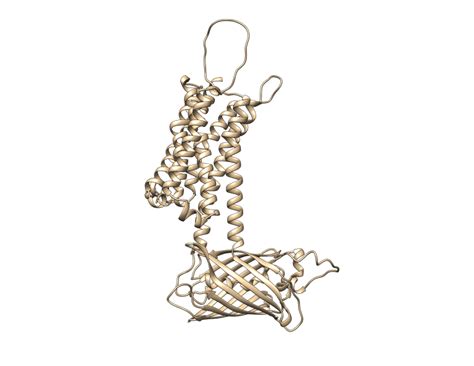 Tian Lab Max Planck Florida Institute For Neuroscience