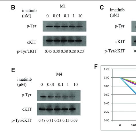 Mutation Analysis On The C Kit Gene For Surgical Melanoma Specimen
