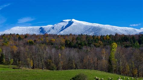 The Highest Elevation Points In Every Us State Savoteur
