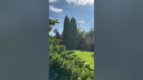 Вокруг нас такая красота а мы её чаще всего просто не замечаем💔 природа красота