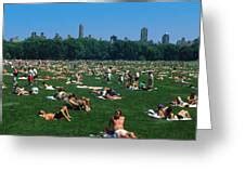 Topless In Central Park On Sunday Photograph By Carl Purcell Fine Art