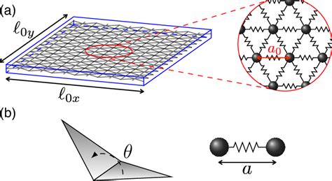 A An Elastic Sheet Is Represented As An Equilateral Triangulation Of
