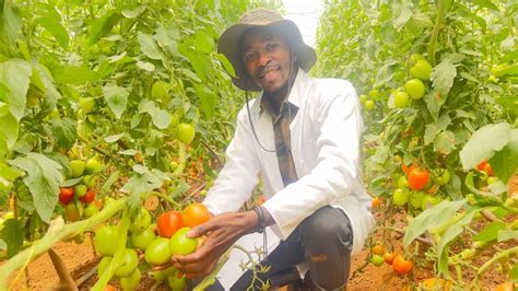 Jean Claude Niyomugabo On Linkedin Lessons From My Farming Hustle👇