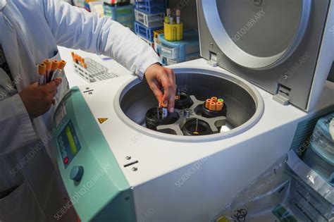 Medical Analysis Laboratory Stock Image C0605217 Science Photo