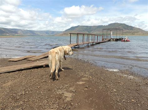 2025年7月solashi旅游景点攻略 Solashi旅游住宿 Solashi旅游美食 猫途鹰