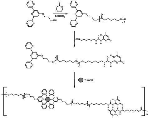 Synthesis Of A Metallo Supramolecular Poly E Caprolactone With Both Download Scientific