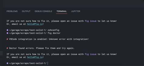 VSCode Insiders Integration Not Working Checked With Fig Doctor No Error Message Issue
