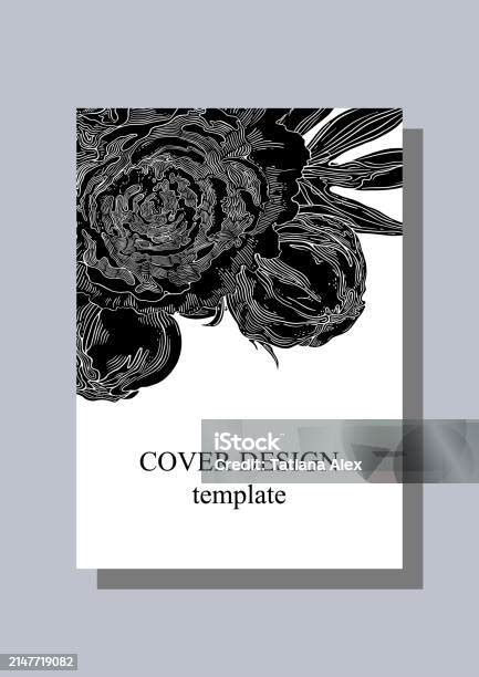 모란 꽃과 새싹 흑인과 백인 꽃 브로셔 표지 엽서 배너 및 배경 디자인 템플릿입니다 벡터 일러스트 레이 션입니다 0명에 대한 스톡 벡터 아트 및 기타 이미지 Istock