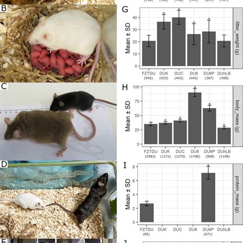 Overview And Classification Of Snp Sites A Snp Sites Were Classified