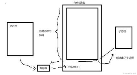 Linux基础之进程 Fork函数的详解进程fork函数 Csdn博客