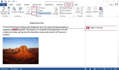 add comments in word 2016 2013 2010 for free
