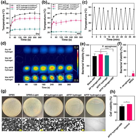 Molecular Design Of An Ultra Strong Tissue Adhesive Hydrogel With Tunable Multifunctionality Pmc