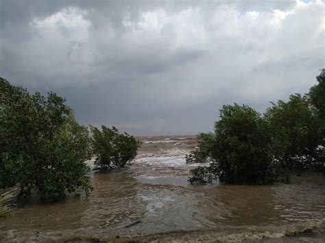 Nortek Bolstering Vietnams Coastal Resilience With Wave…