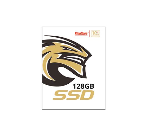 Kingspec Sata Gb Solid State Disk Ssd P Serie Macturn