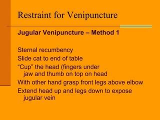 Cats I Behavior And Restraint Of Cats Ppt