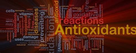 Nrf2 Science The Difference Between Nrf2 And Nrf1 Protandim Nrf2 • Reduce Oxidative Stress