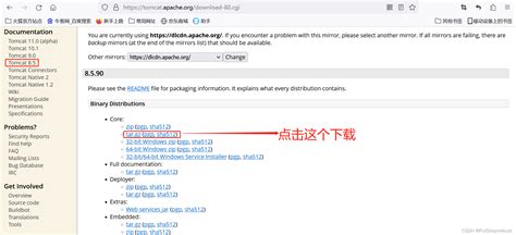 20 linux 上搭建 java web 环境