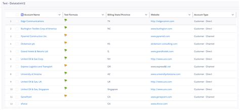 now display rich text and custom links and images in datatables