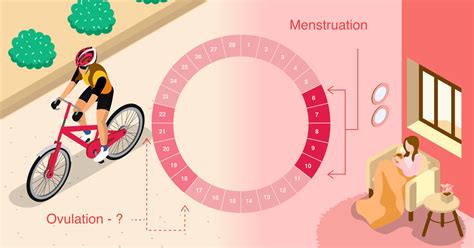 Period Calculator Calculator IO