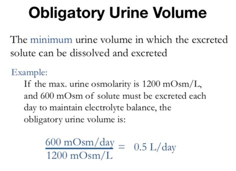 Renal 4 Regulation Of Ecf Flashcards Quizlet
