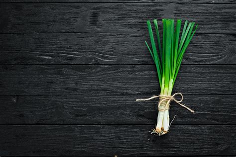 나무 배경에 신선한 녹색 양파 평면도 텍스트를 위한 여유 공간 농업에 대한 스톡 사진 및 기타 이미지 농업 다발 부엌 Istock