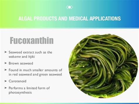 Algae Products And Their Medical Applications
